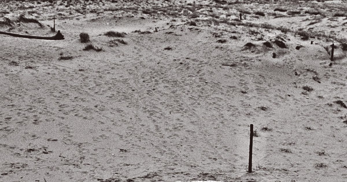 Sano ibuki、TVアニメ『惑星のさみだれ』新EDテーマ「ZERO」MV公開！ – 画像一覧（1/4） – リスアニ！ – アニソン・アニメ音楽のポータルサイト